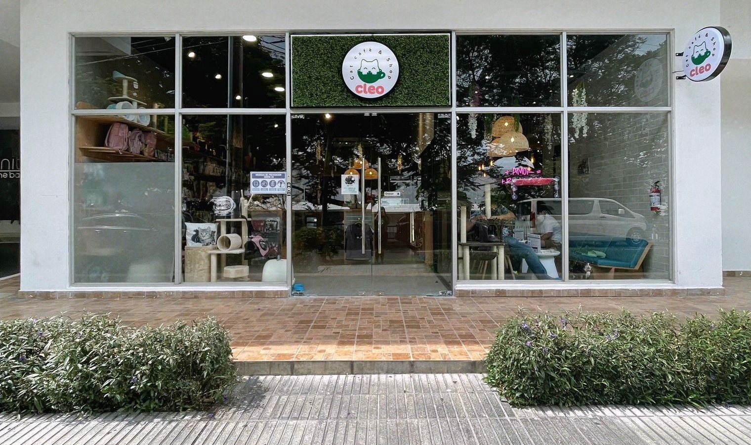 Nosotros - Cat Café Panamá